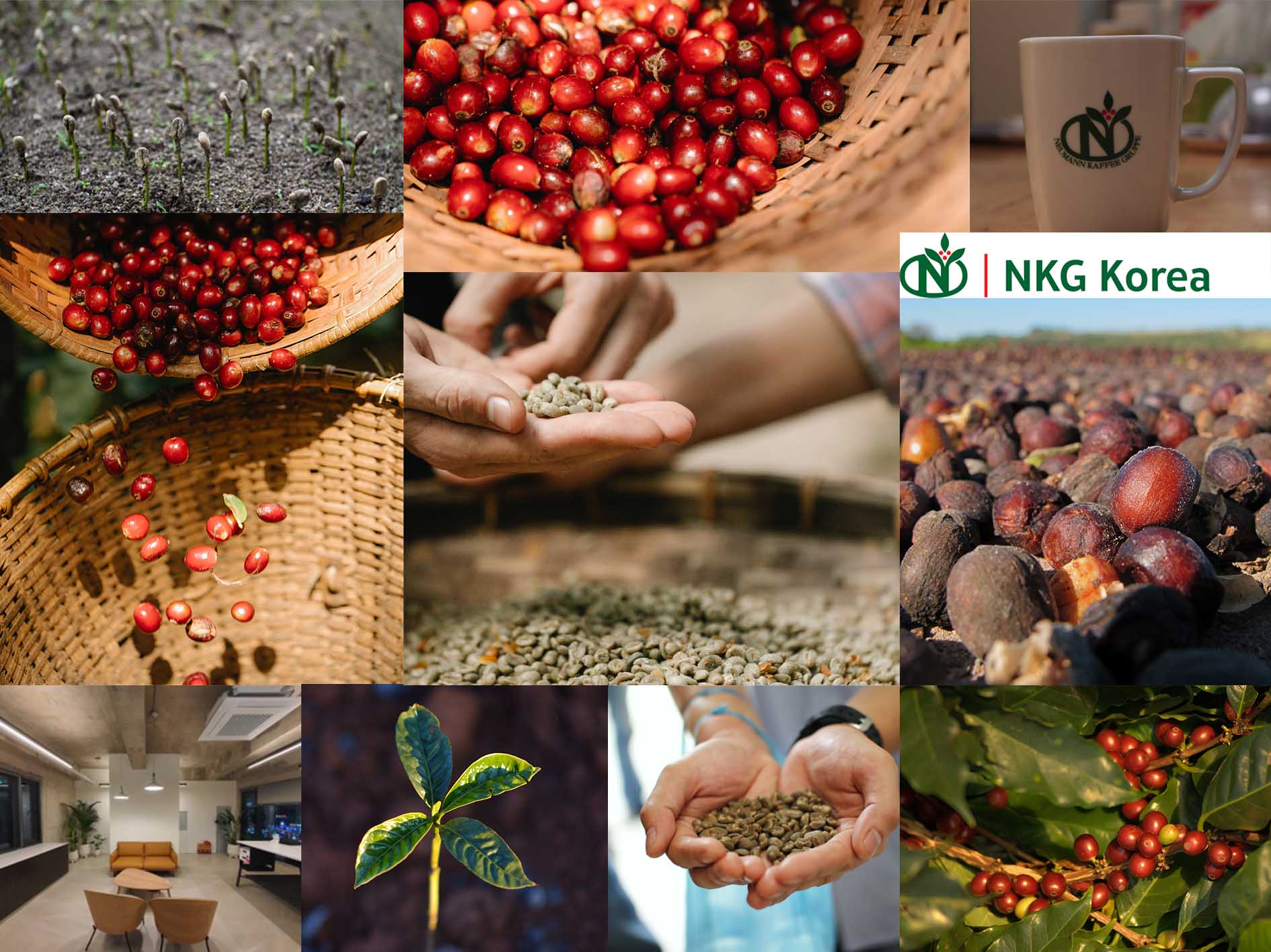 NKG Korea - About Us